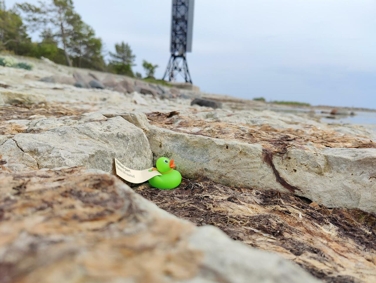 Vormsil toimus naftareostustõrje koolitus – ELFi Loodustalgud