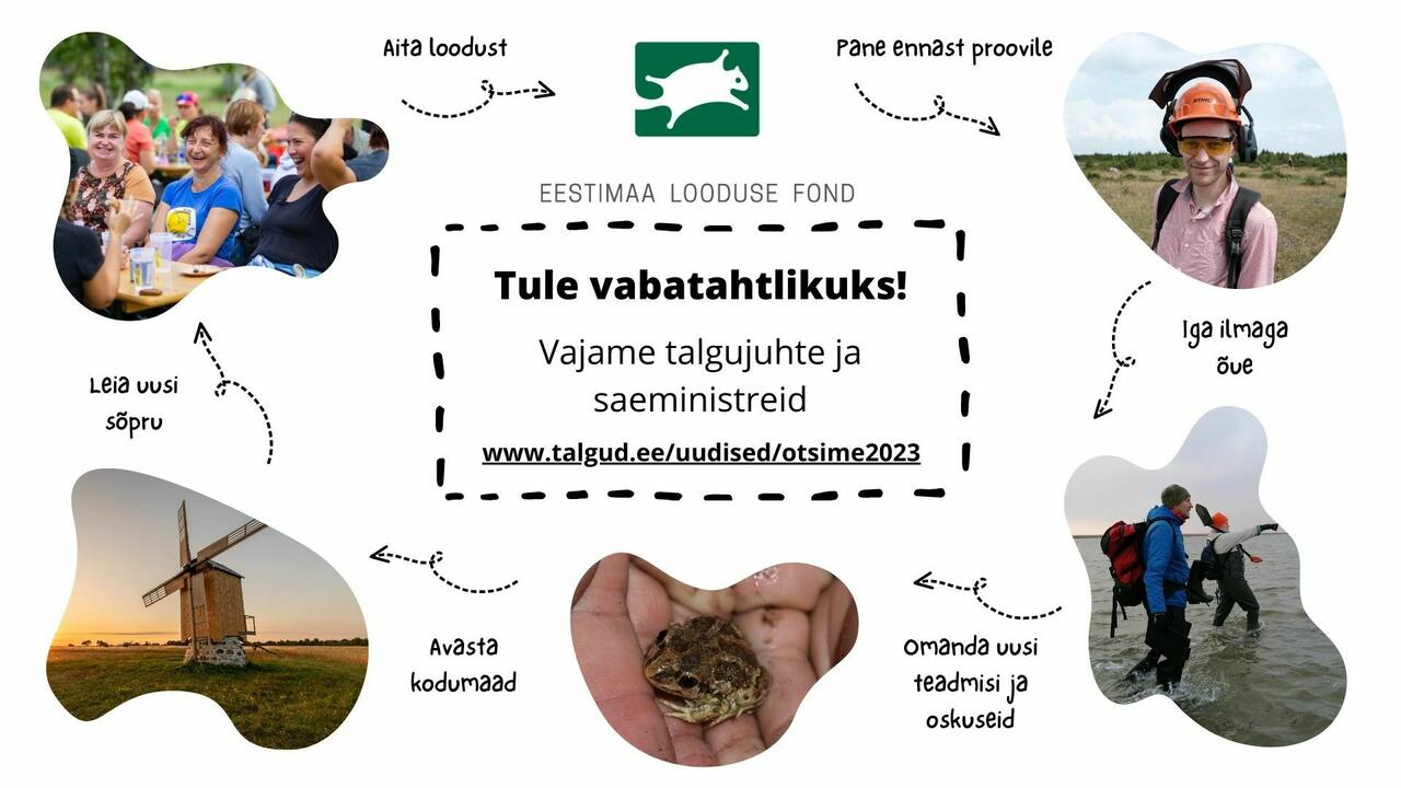 Otsime uusi vabatahtlikke talgujuhte ja saeministreid – ELFi Loodustalgud